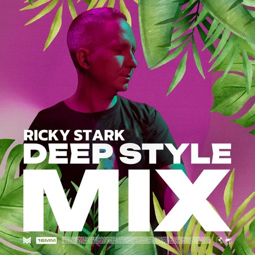 Ricky Stark - Deep Style — плейлисты для диджеев, скачать музыку по ...